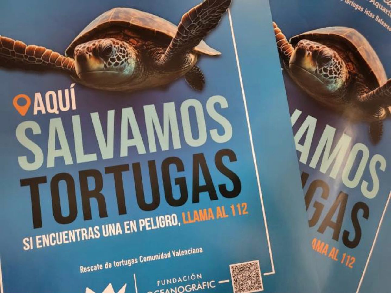 La concejalía de Medio Ambiente se suma a la IV campaña de ...