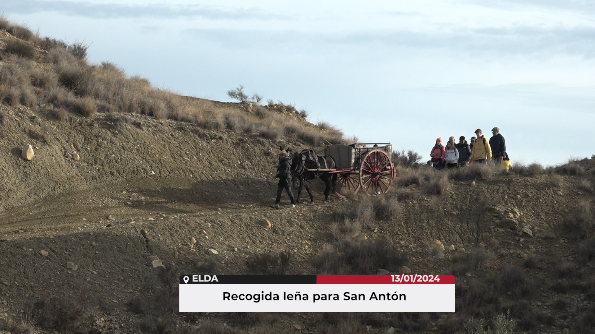 La eldense Ruth Falcó fue la guía durante el recorrido de la recogida ...